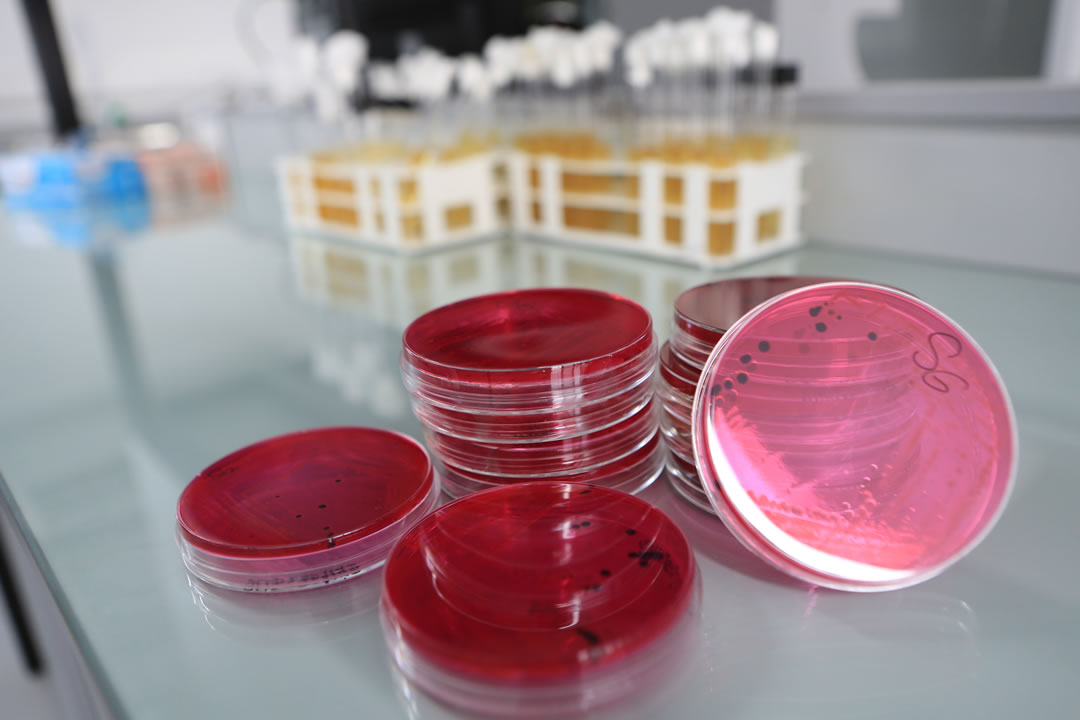 Food & Feed – QuantiLAB Ltd