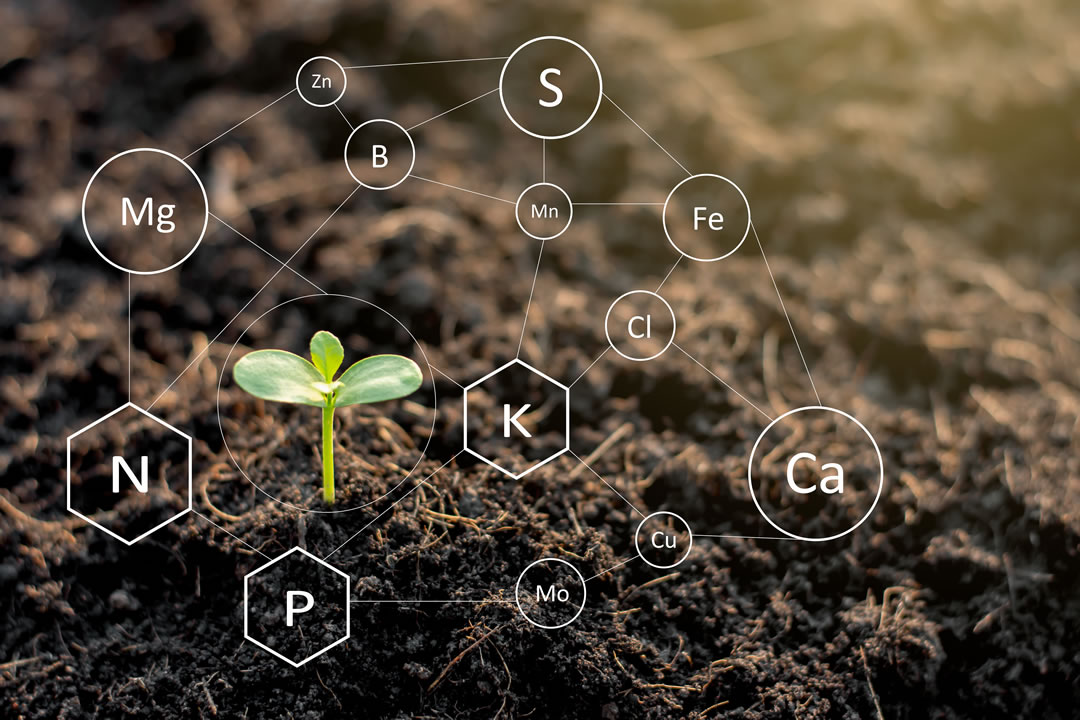 Environmental – QuantiLAB Ltd